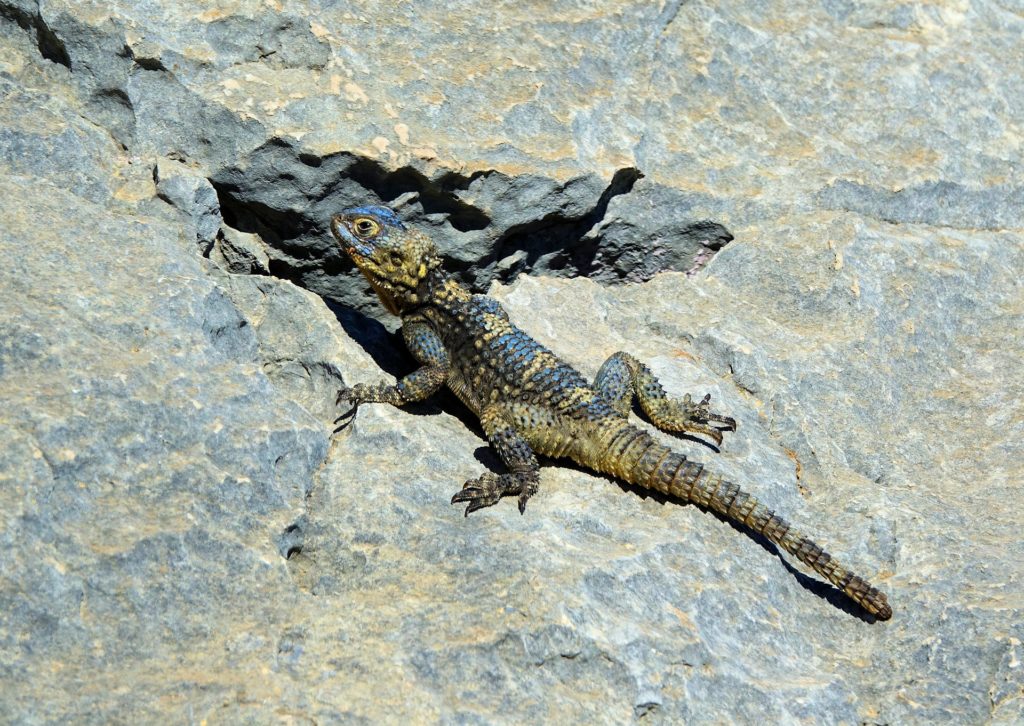 Hiking the Lycian Way in Turkey | Bjorn Free