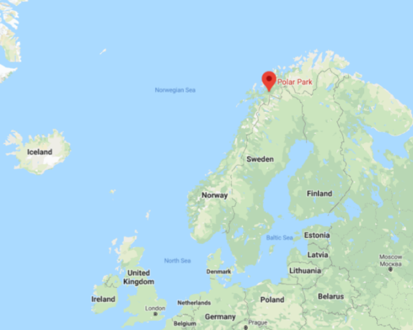 Polar Park in Norway | Bjorn Free